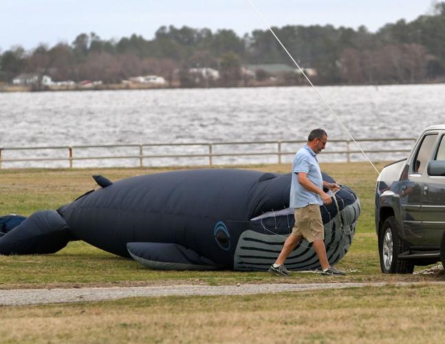 PHOTOS: Go Fly a Kite | Local News | newbernsj.com