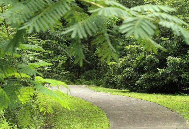 PHOTOS: Flanners Beach Campground Open | Local News | newbernsj.com