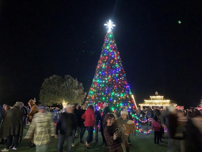 Photos: A Beary Merry Christmas in New Bern commenced Friday night ...