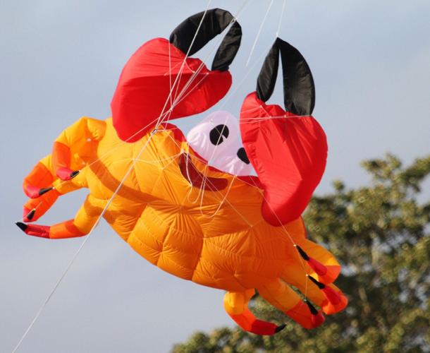 PHOTOS: Go Fly a Kite | Local News | newbernsj.com