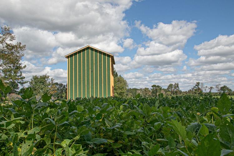 Foscue Plantation adds historic tobacco barn to tours | Features ...