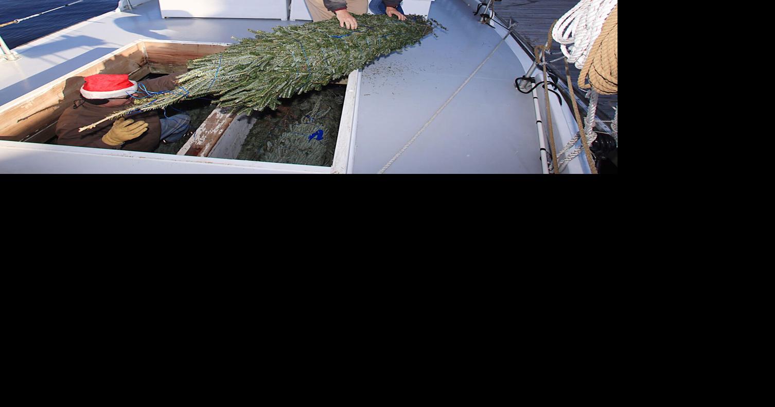 Ada Mae crew unloads Christmas tree cargo | Local News | newbernsj.com