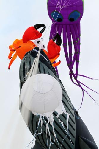 PHOTOS: Go Fly a Kite | Local News | newbernsj.com