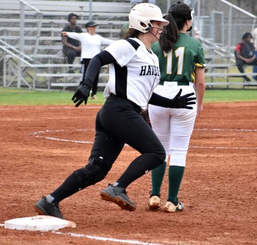 Havelock softball dismantles Vikings, Rampants ahead of big showdown ...
