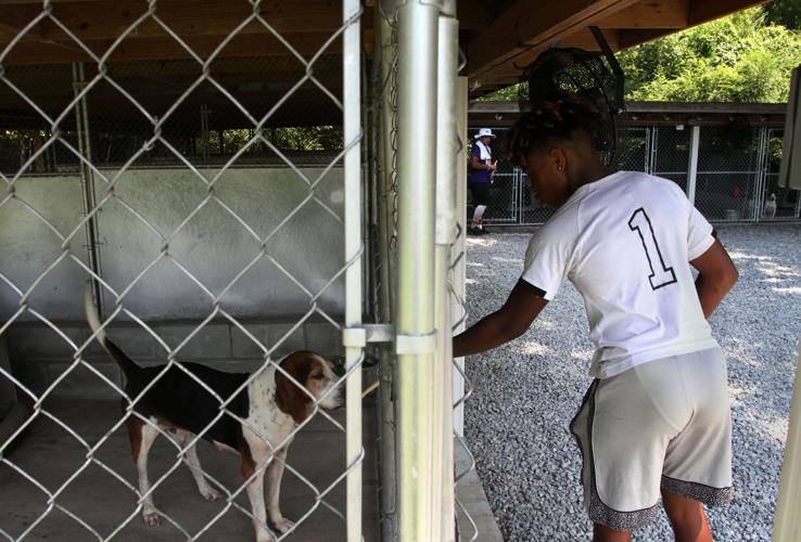 PHOTOS: Havelock Rams Volunteer | Local News | newbernsj.com