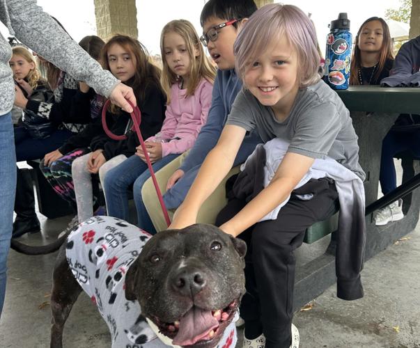 Student passion drives positive change at Roger Bell New Tech Academy ...