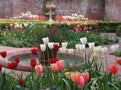 April showers not only bringing May flowers to New Bern, also bringing ...