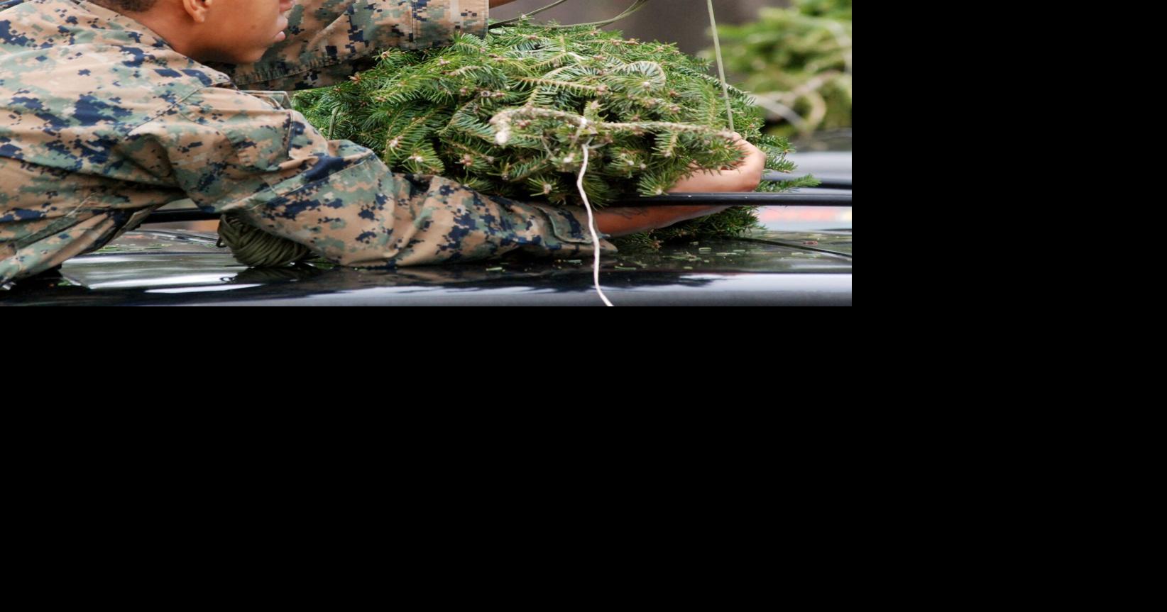 Free Christmas trees delivered to Marines | Local News | newbernsj.com