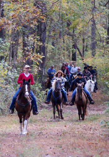 Croatan National Forest offers array of recreational activities: Hiking ...
