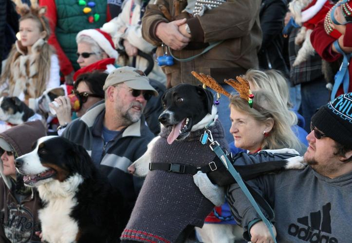 PHOTOS: Santa Paws | Local News | newbernsj.com
