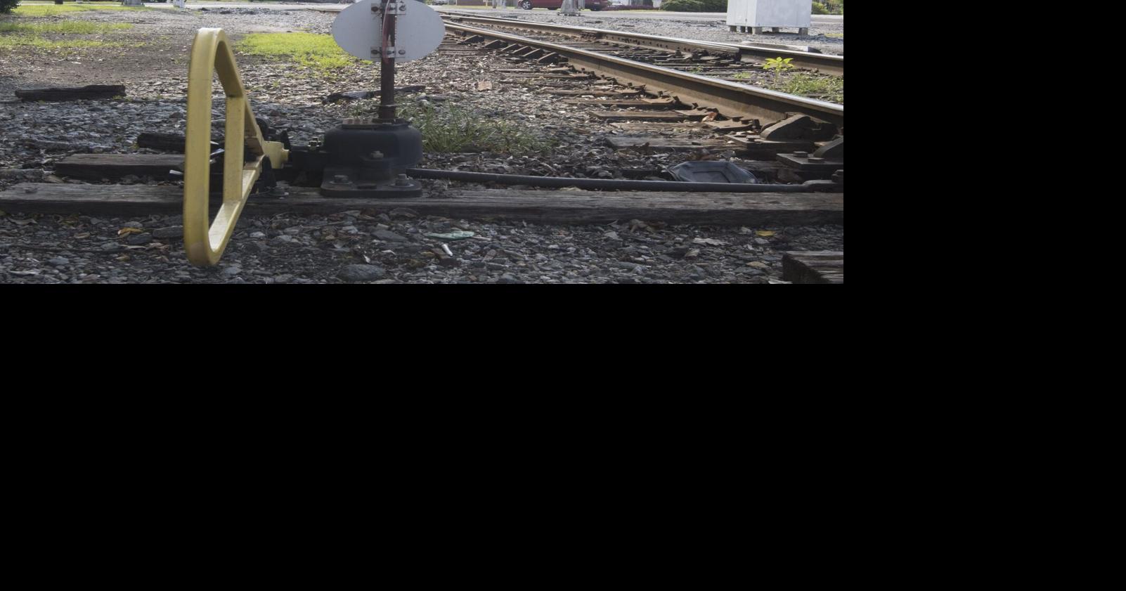 Train victim in critical condition; police warn about danger of being ...