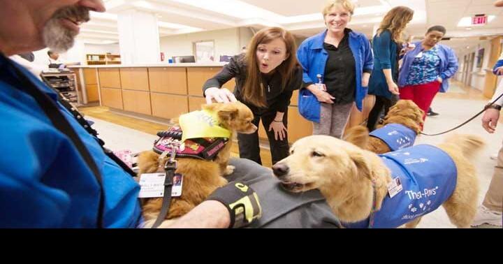 Thera-Paws: A patient's best friend | Local News | newbernsj.com