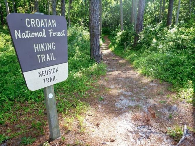 Croatan National Forest offers array of recreational activities: Hiking ...