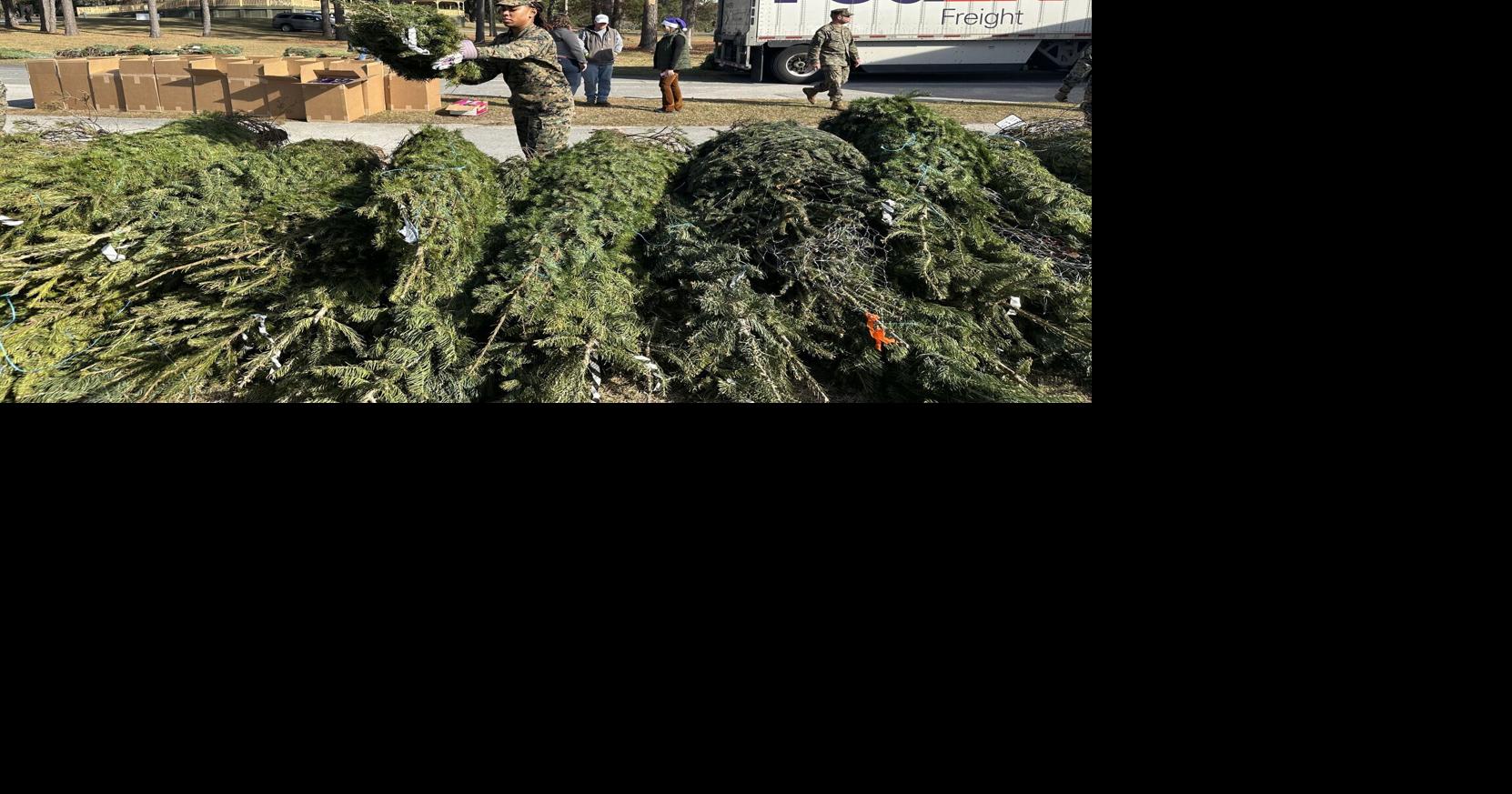 Marine Corps Air Station Cherry Point participates in Trees for Troops ...