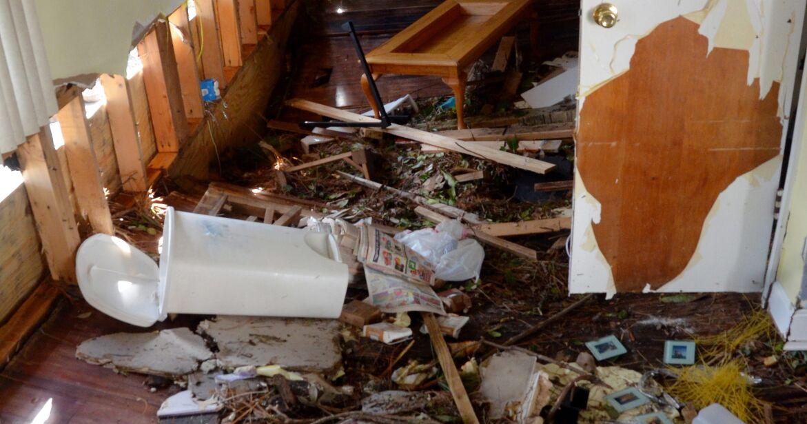 Mold can be a hidden health hazard after hurricanes | Local News ...