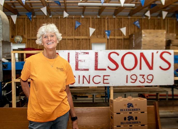 Blueberries are ripening and ready at Bridgeton farms | Local News ...