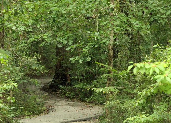 PHOTOS: Flanners Beach Campground Open | Local News | newbernsj.com