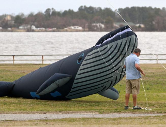 PHOTOS: Go Fly a Kite | Local News | newbernsj.com
