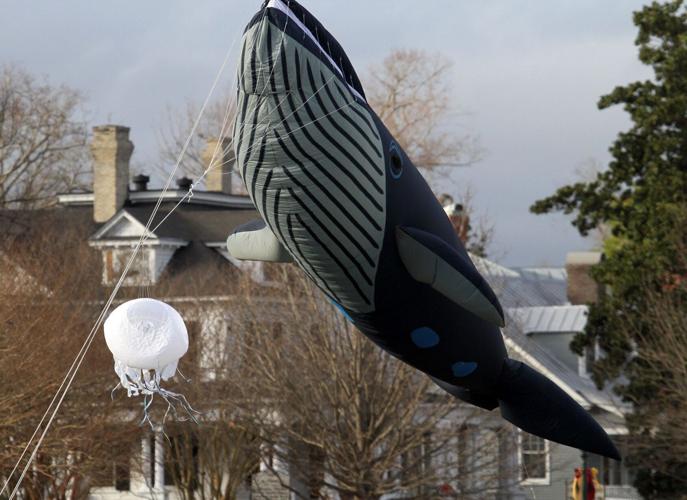 PHOTOS: Go Fly a Kite | Local News | newbernsj.com