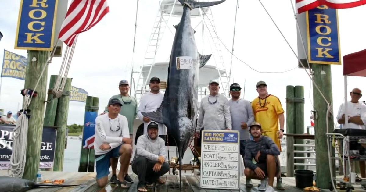 New Bern boat Builder's Choice weighs in at Big Rock Blue Marlin, Game ...