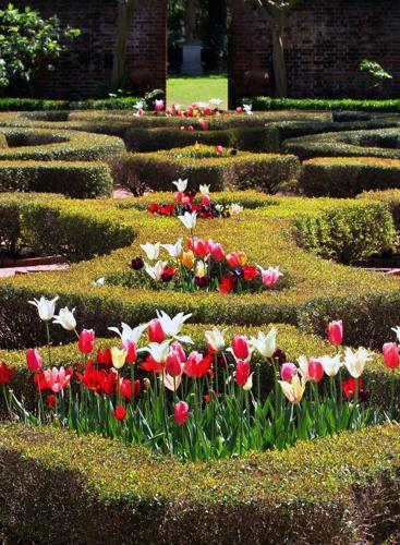 PHOTOS: Tryon Palace Gardens | Local News | newbernsj.com