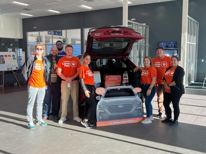 Riverside Subaru transforms dealership to find homes for Colonial ...