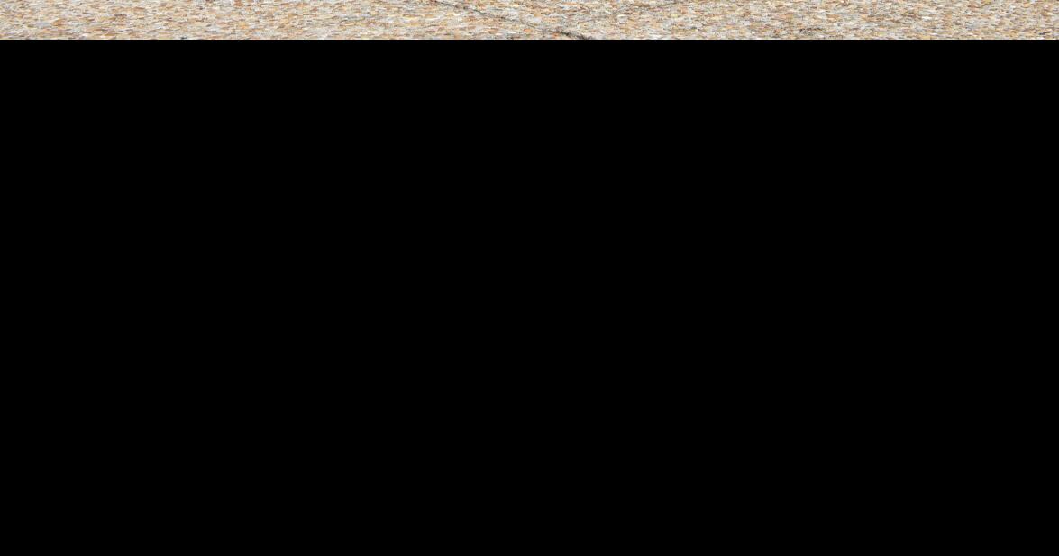 Joe Meadows | Entertainment | newbernsj.com