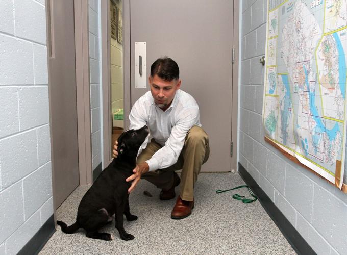 Anthony Thomas takes reins of animal welfare in Craven County | Local ...