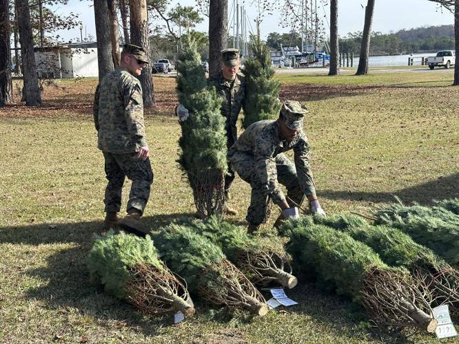 Marine Corps Air Station Cherry Point participates in Trees for Troops ...