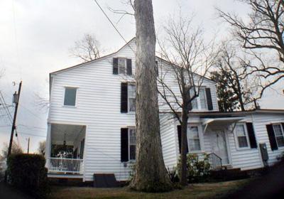 Historic tree in downtown New Bern coming down later this month | Local ...