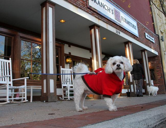 PHOTOS: Santa Paws | Local News | newbernsj.com