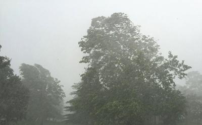 New Bern weather: Heavy winds on the way, snow not expected with cold ...