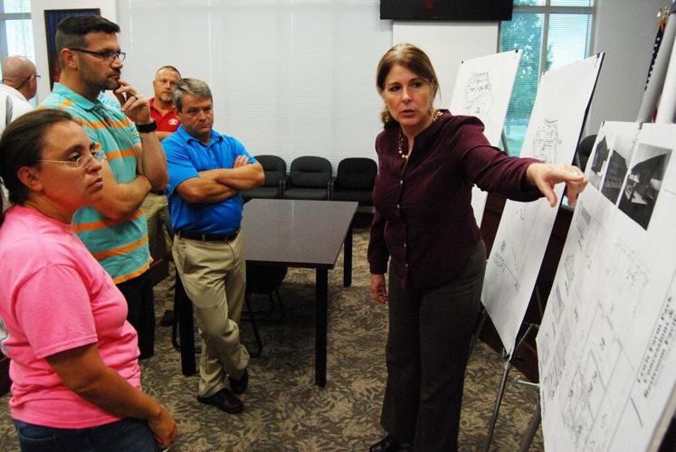 Lewis Farm Park project moves forward, still raises concerns | Local ...