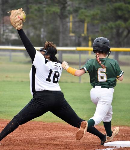 Havelock softball dismantles Vikings, Rampants ahead of big showdown ...