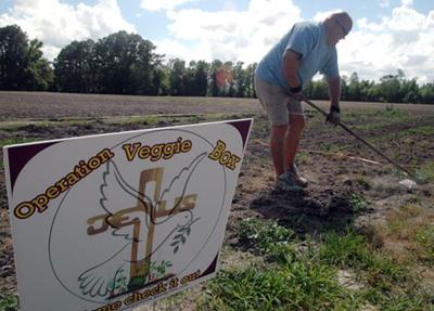 Operation Veggie Box prepares for annual food giveaway | Local News ...