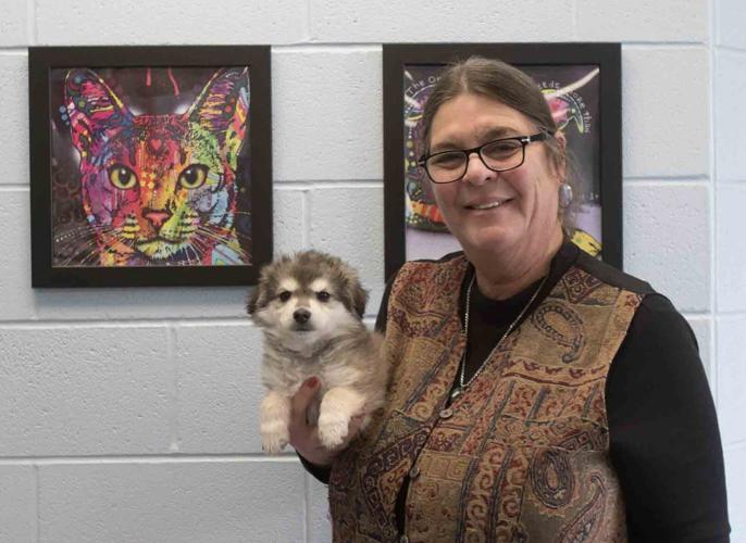 County animal shelter has a new boss | Local News | newbernsj.com