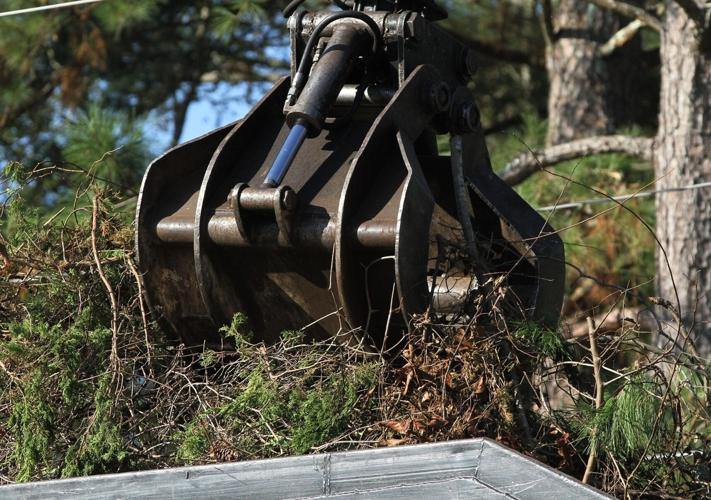 PHOTOS: Tree Debris | Local News | newbernsj.com