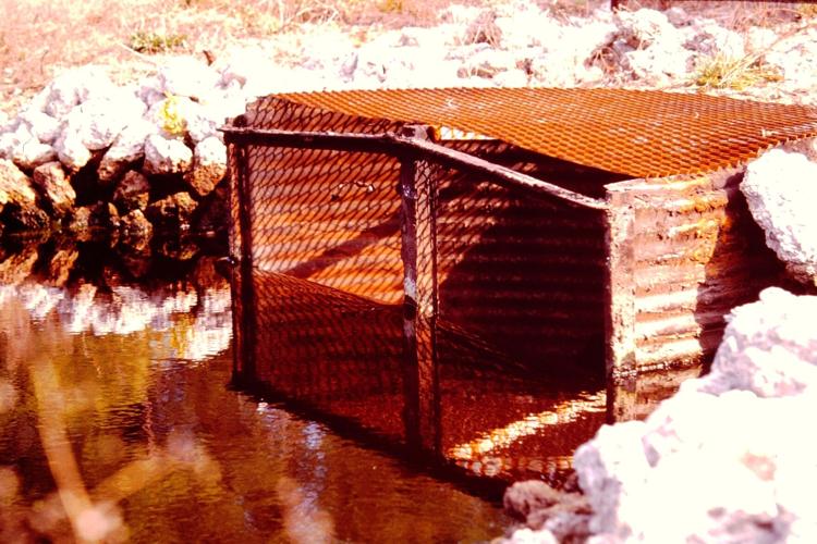 PHOTOS: Sun Journal Archives 87 | Local News | newbernsj.com