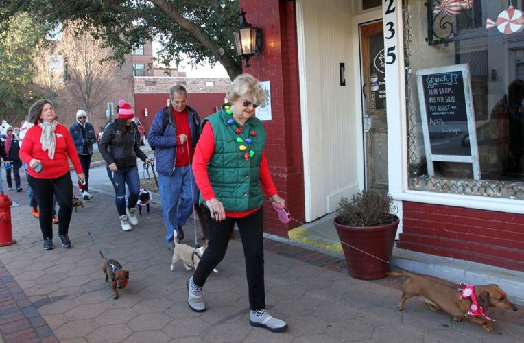 PHOTOS: Santa Paws | Local News | newbernsj.com