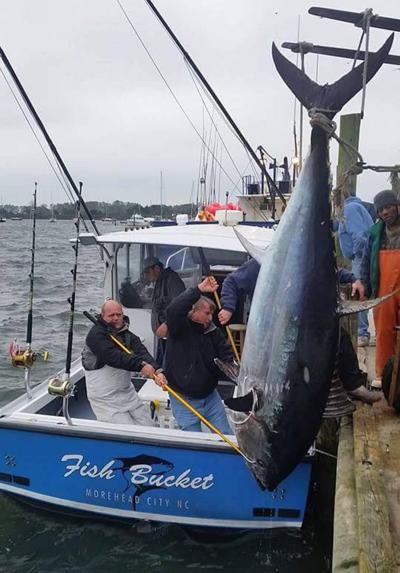 A truly grand fish story | Local News | newbernsj.com