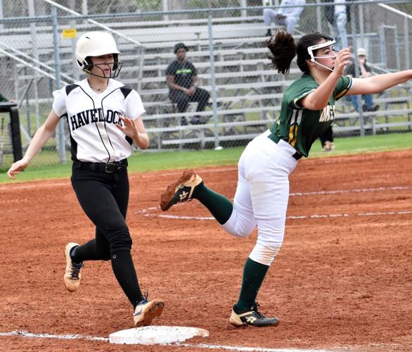 Havelock softball dismantles Vikings, Rampants ahead of big showdown ...