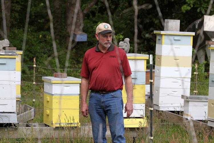 PHOTOS: Turkey Quarter Creek Apiary | Local News | newbernsj.com