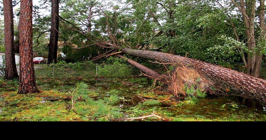 PHOTOS: Havelock sustains flooding and damage from Florence | Local ...