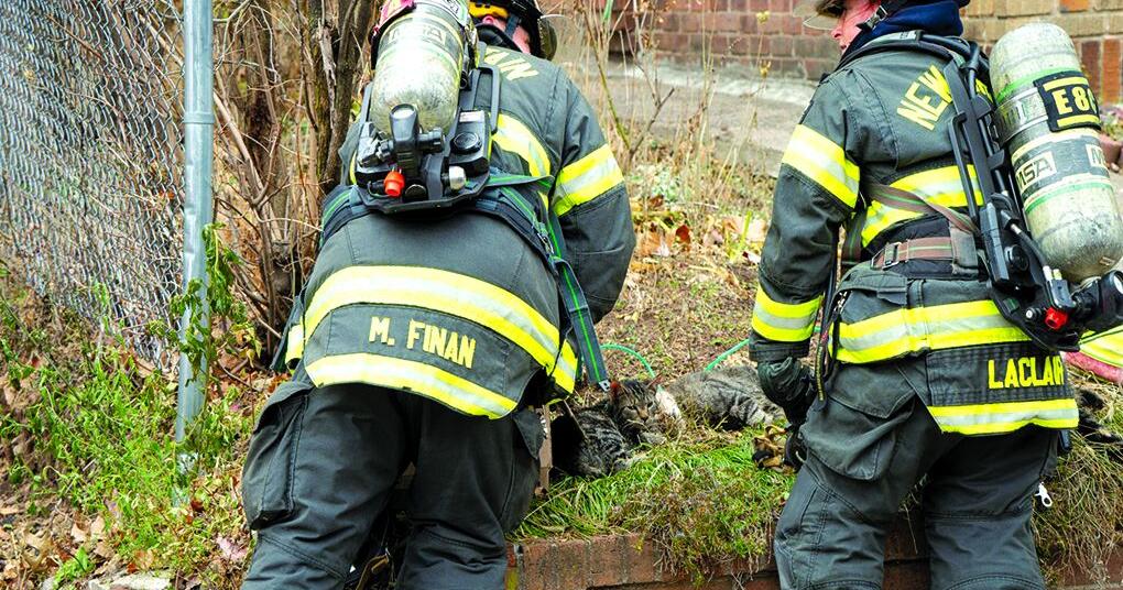 Several pets affected in city fire | News | newbritainherald.com