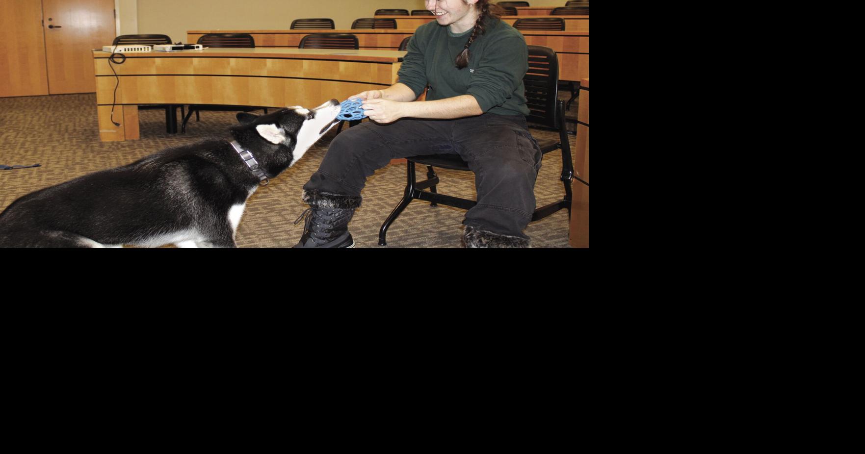UConn's Jonathan the 15th barks out testimony to be top dog | News ...