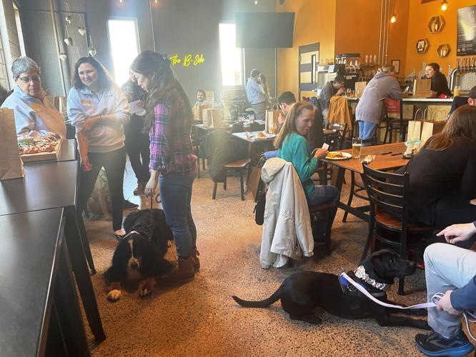 Dog, beer, cheer: First-ever dog-friendly networking event takes place ...