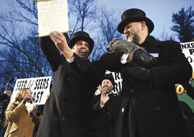 No shadow! Early spring predicted | News | newbritainherald.com