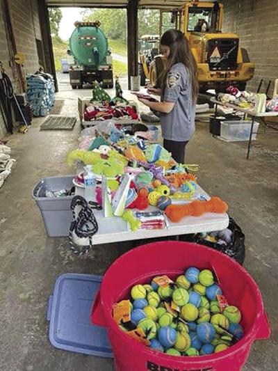 Support Plainville PAWS, pantry | News | newbritainherald.com