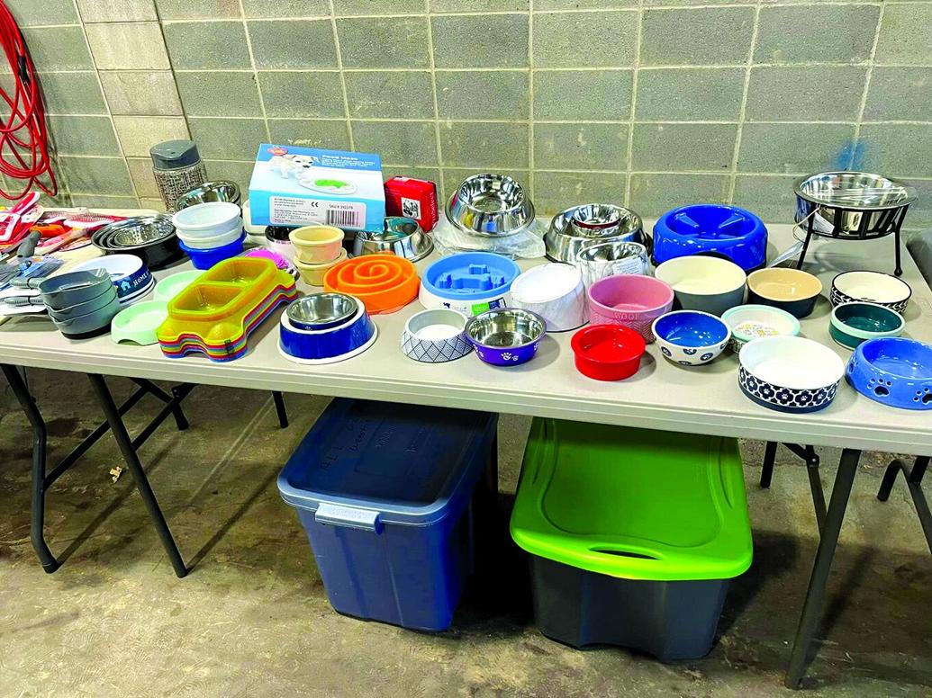 ‘Everything Animal’ tag sale to raise money for PAWS | News ...