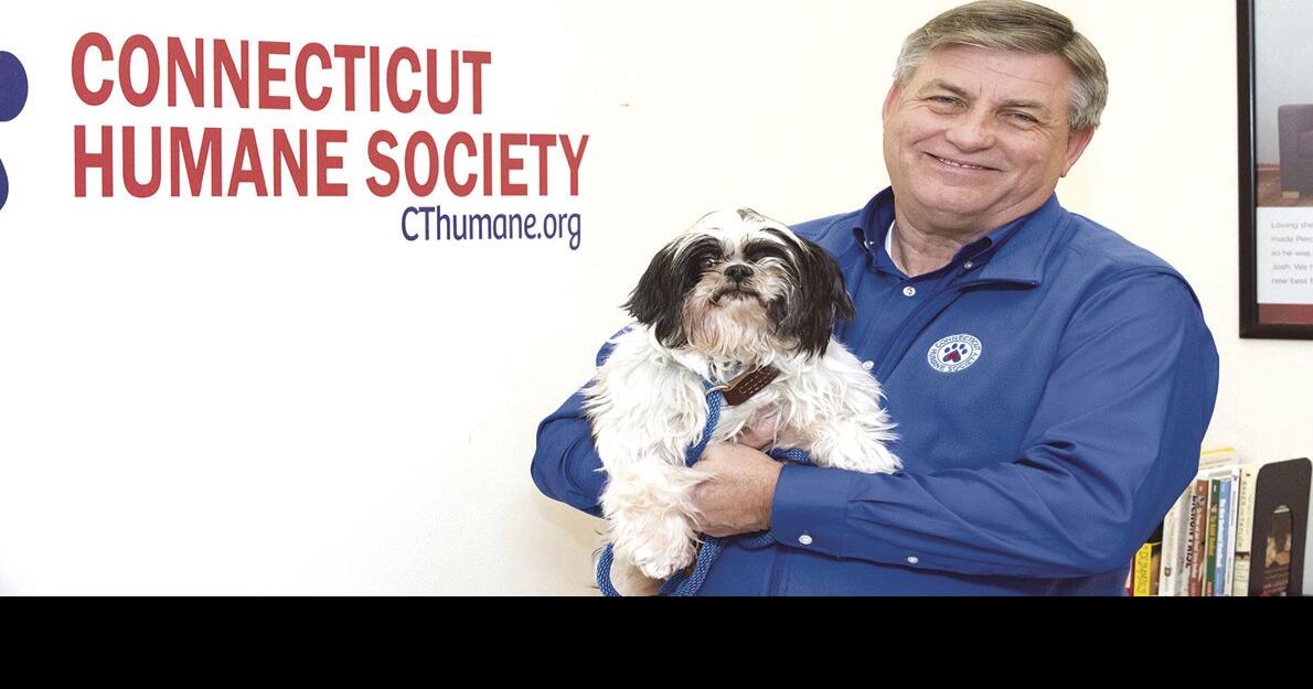 Connecticut Humane Society partners with Aiello Home Services ...